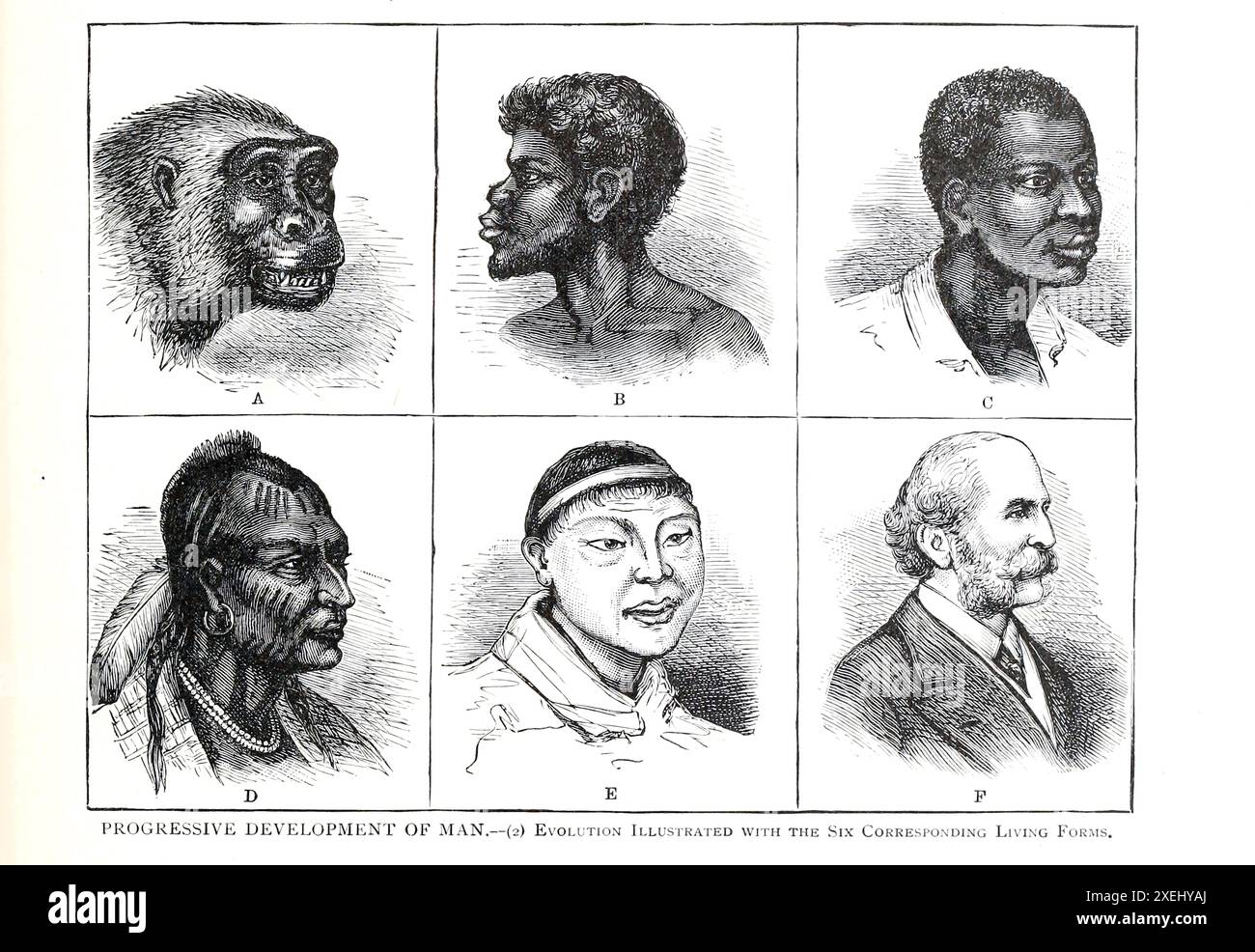 Types of mankind racism hi-res stock photography and images - Alamy