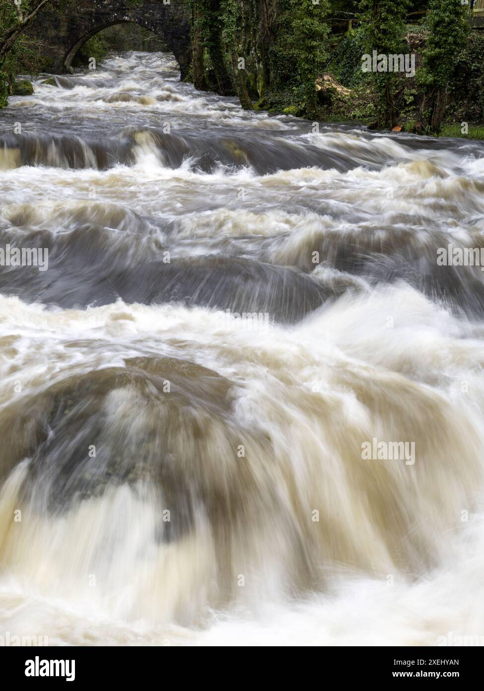 The River Erme in full flow in the centre of Ivybridge, Devon, England ...