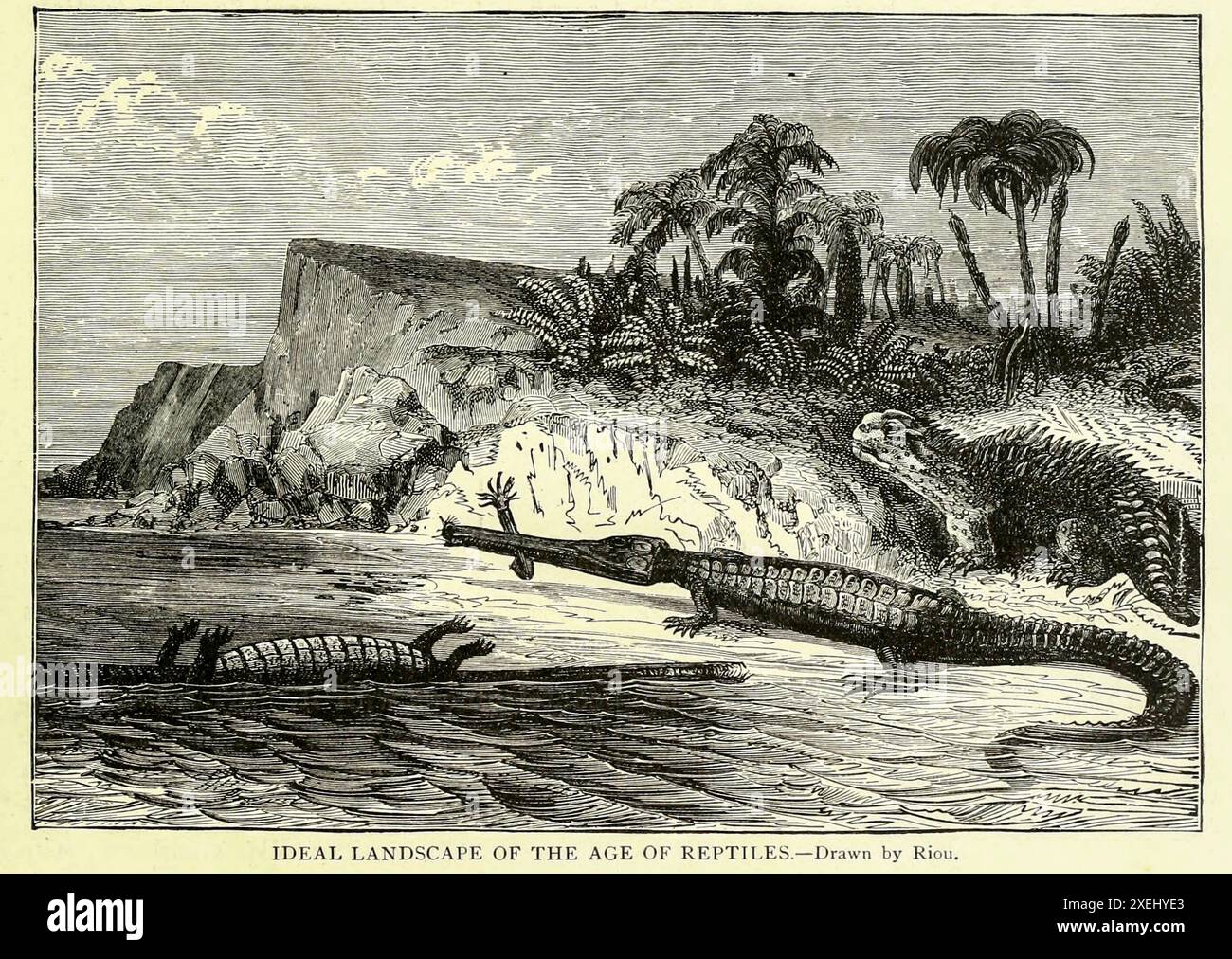 Age of reptiles hi-res stock photography and images - Alamy