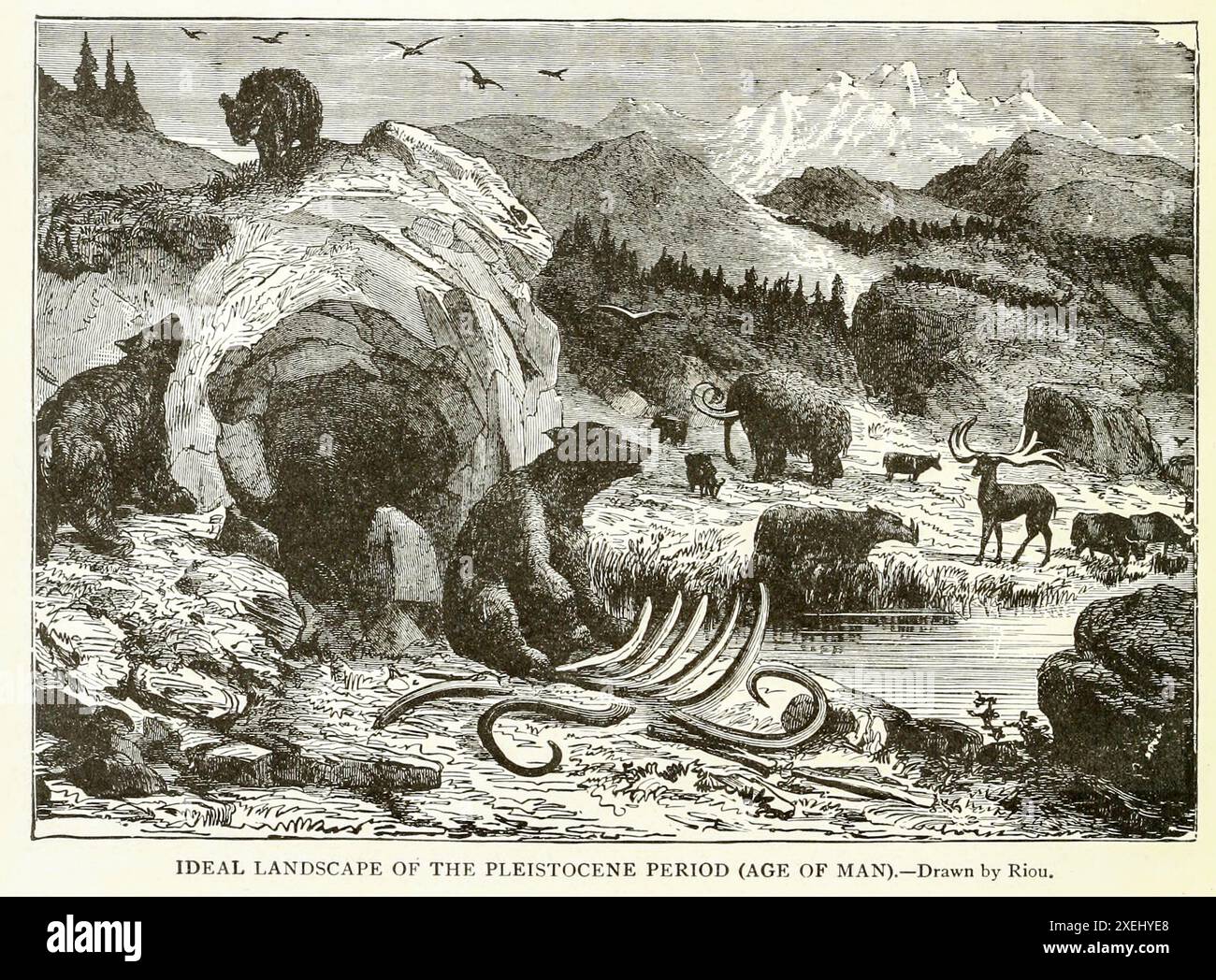 Ideal Landscape of the Pleistocene Period (Age of Man) Drawn by Riou ...