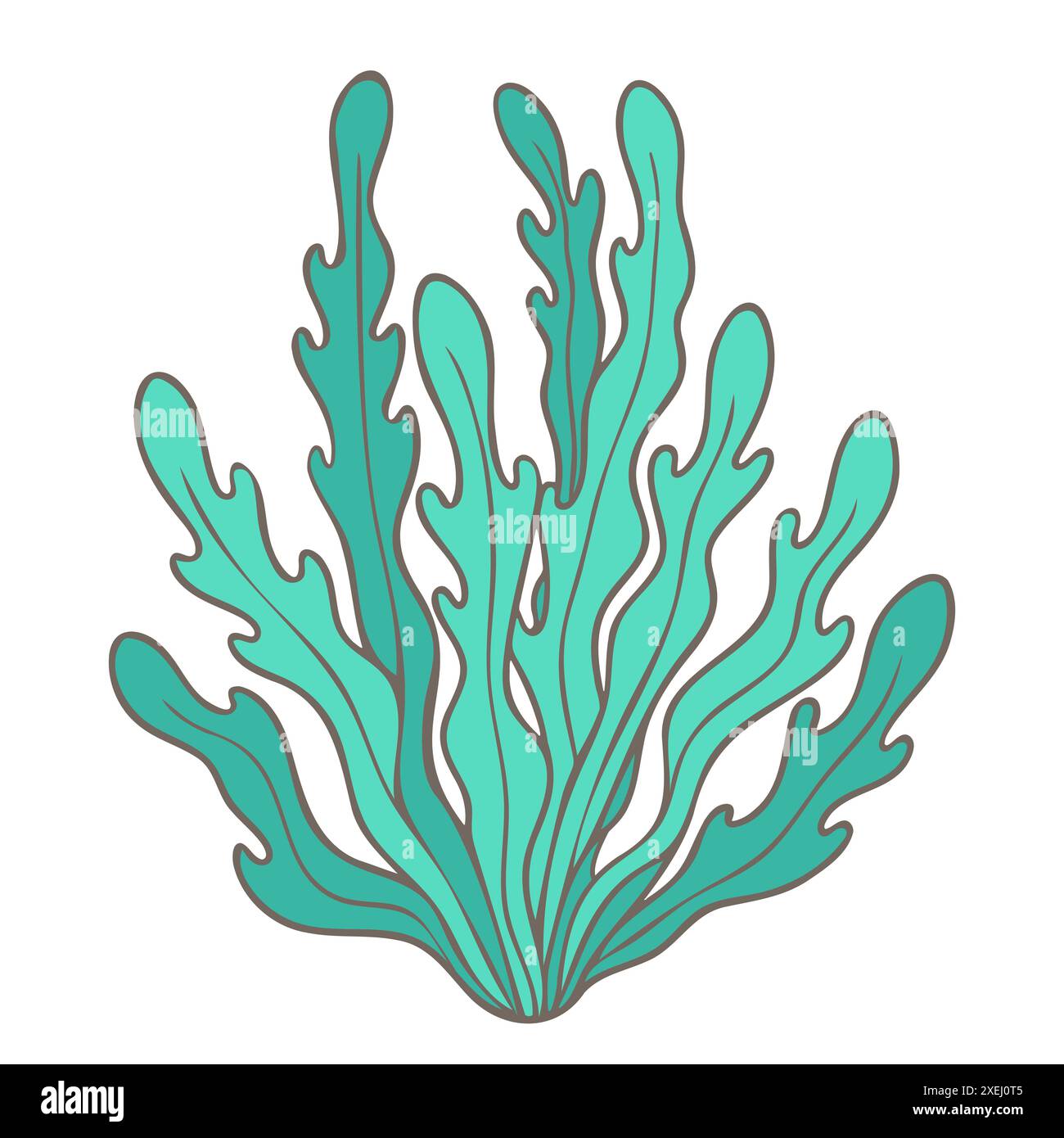 Seaweed on the ocean bottom isolated on white background. Vector ...