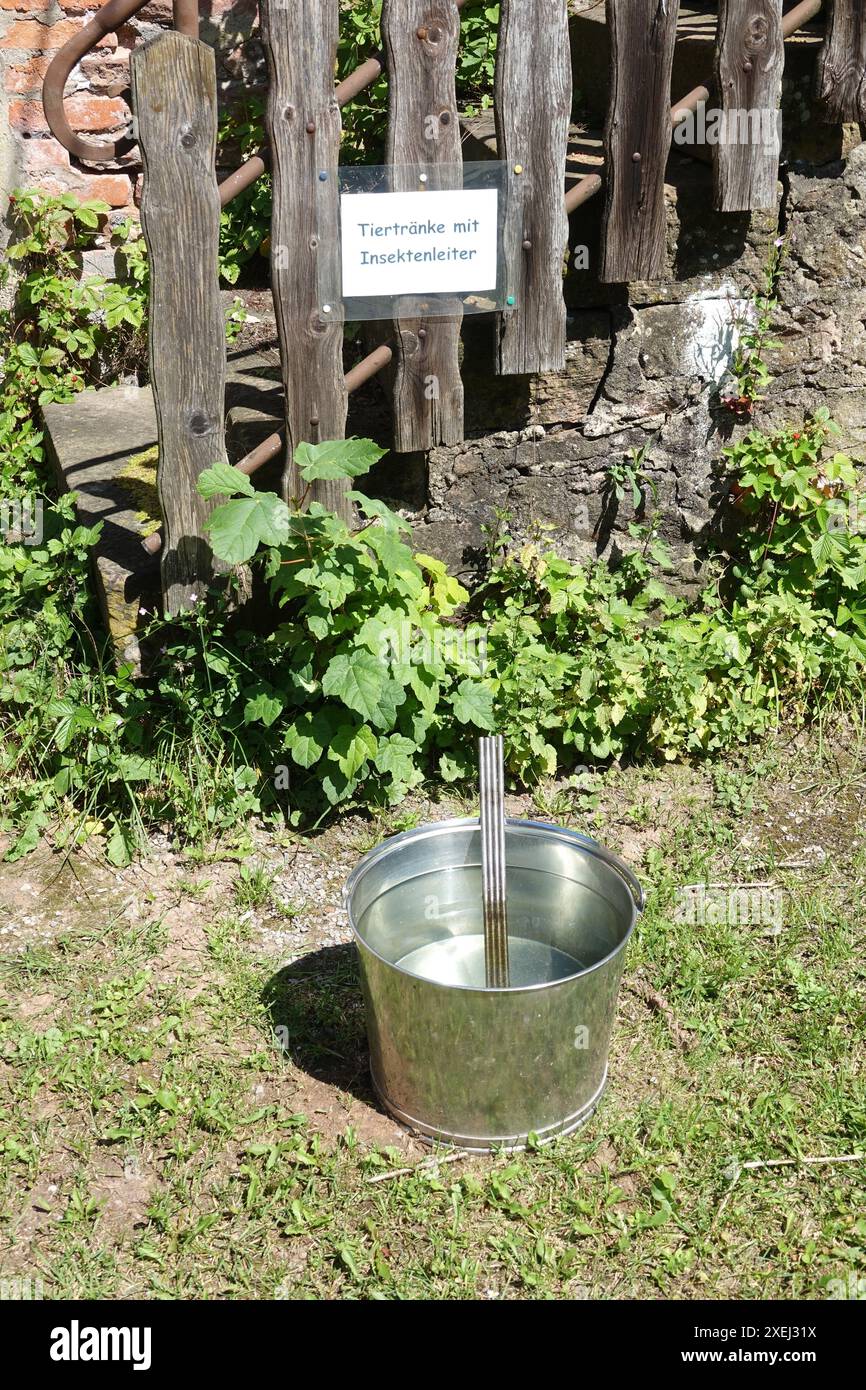 Insektenleiter hi-res stock photography and images - Alamy