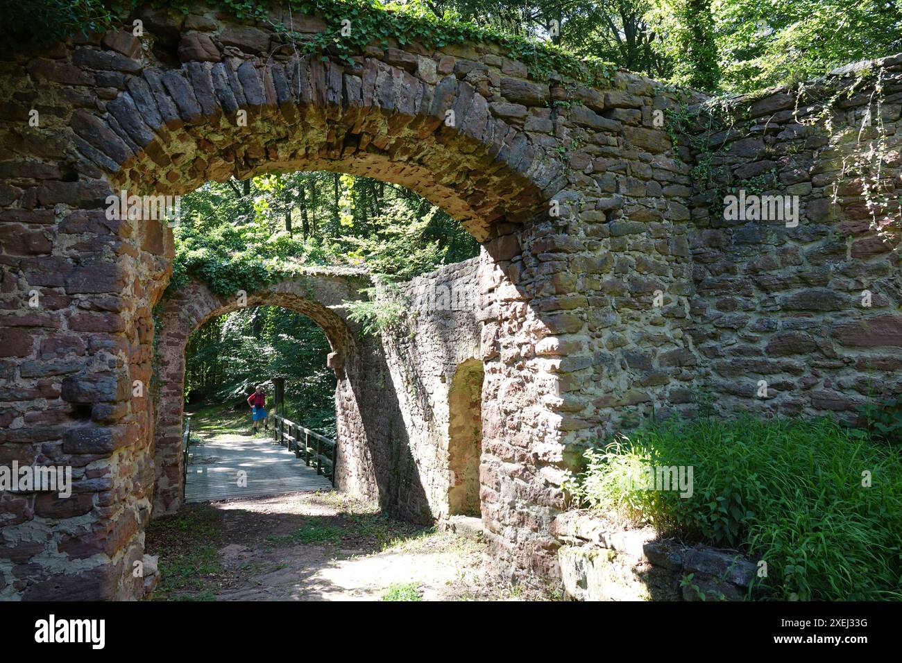 Ruine wildenstein hi-res stock photography and images - Alamy