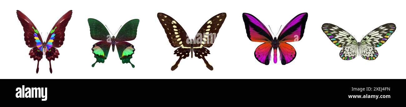 Vibrant exotic butterflies with diverse wing patterns and colors are ...