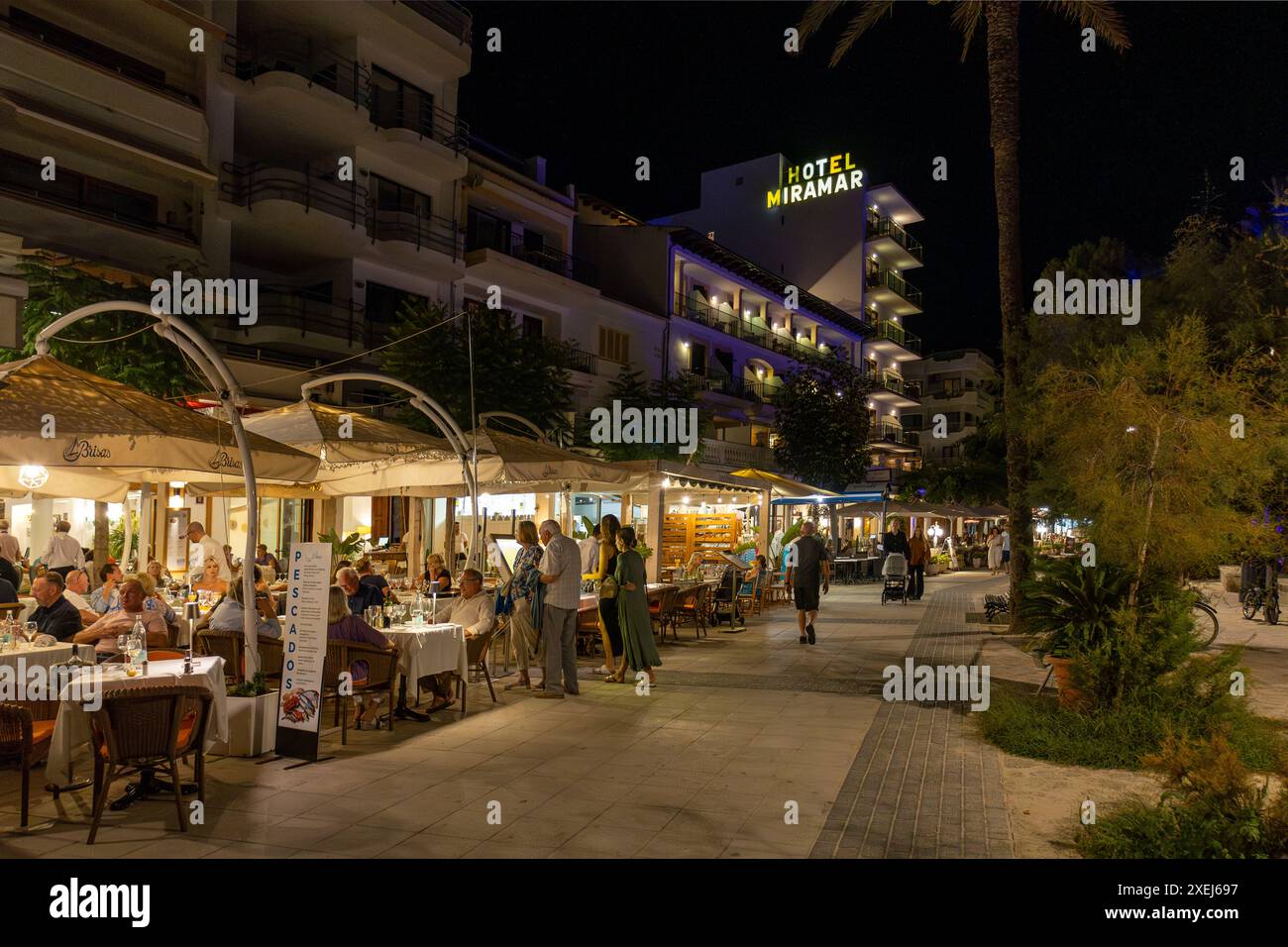 The Pine Walk at Night, Puerto Pollensa, Port de Pollença, Majorca ...
