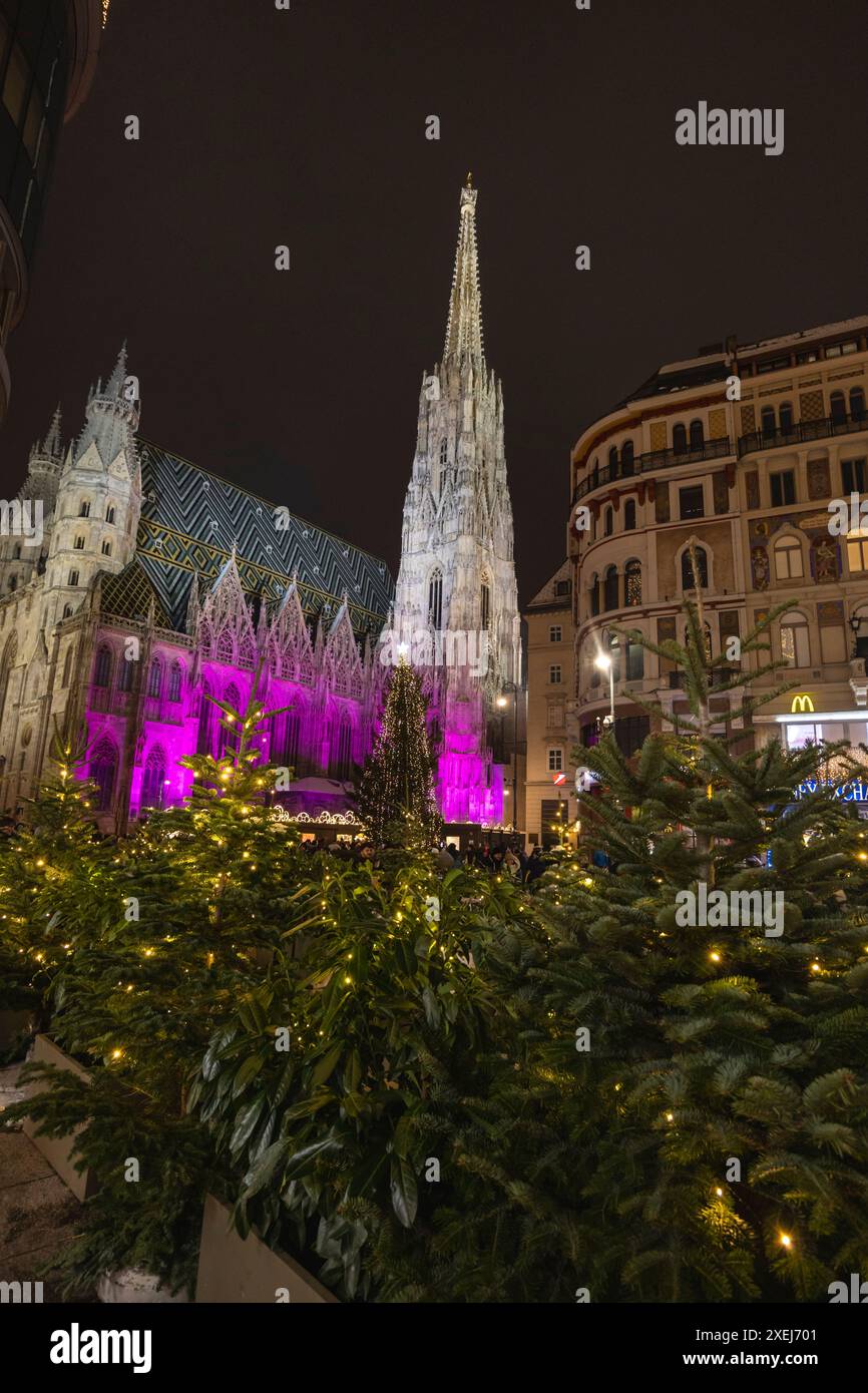 St Stephens Cathedral with Christmas Market , Stephansplatz Stock Photo ...