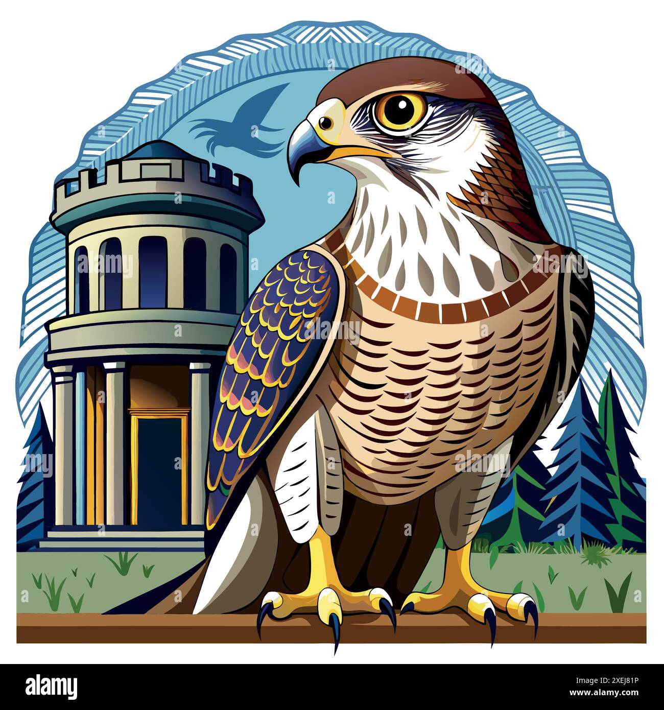 Coopers hawk bird Stock Vector Images - Alamy