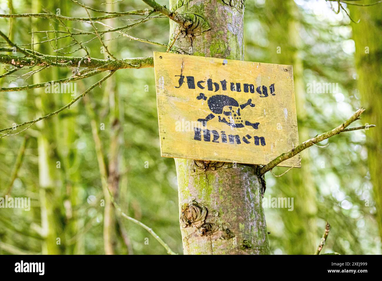 WW2 German warning sign nailed to a tree in a wood. The sign has a ...