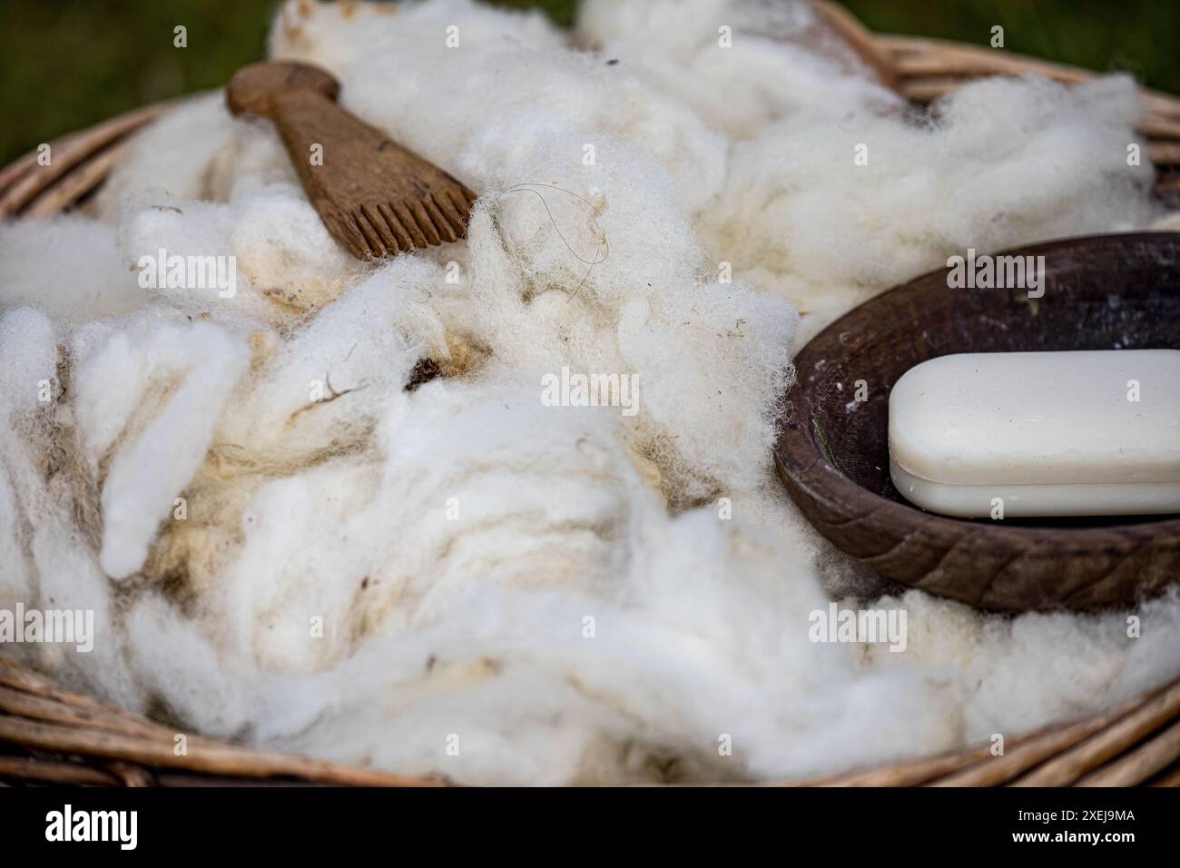 Sheeps fleece hi-res stock photography and images - Alamy