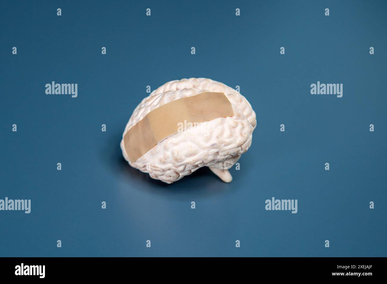 Human brain model with a white bandage. Brain injury, treatment concept ...