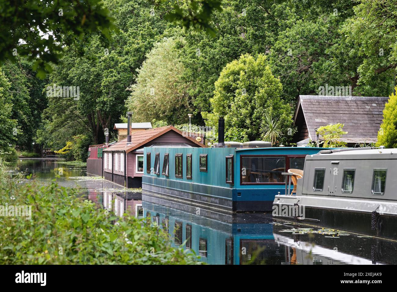 Moored houseboats on the Basingstoke canal and surrounding countryside ...