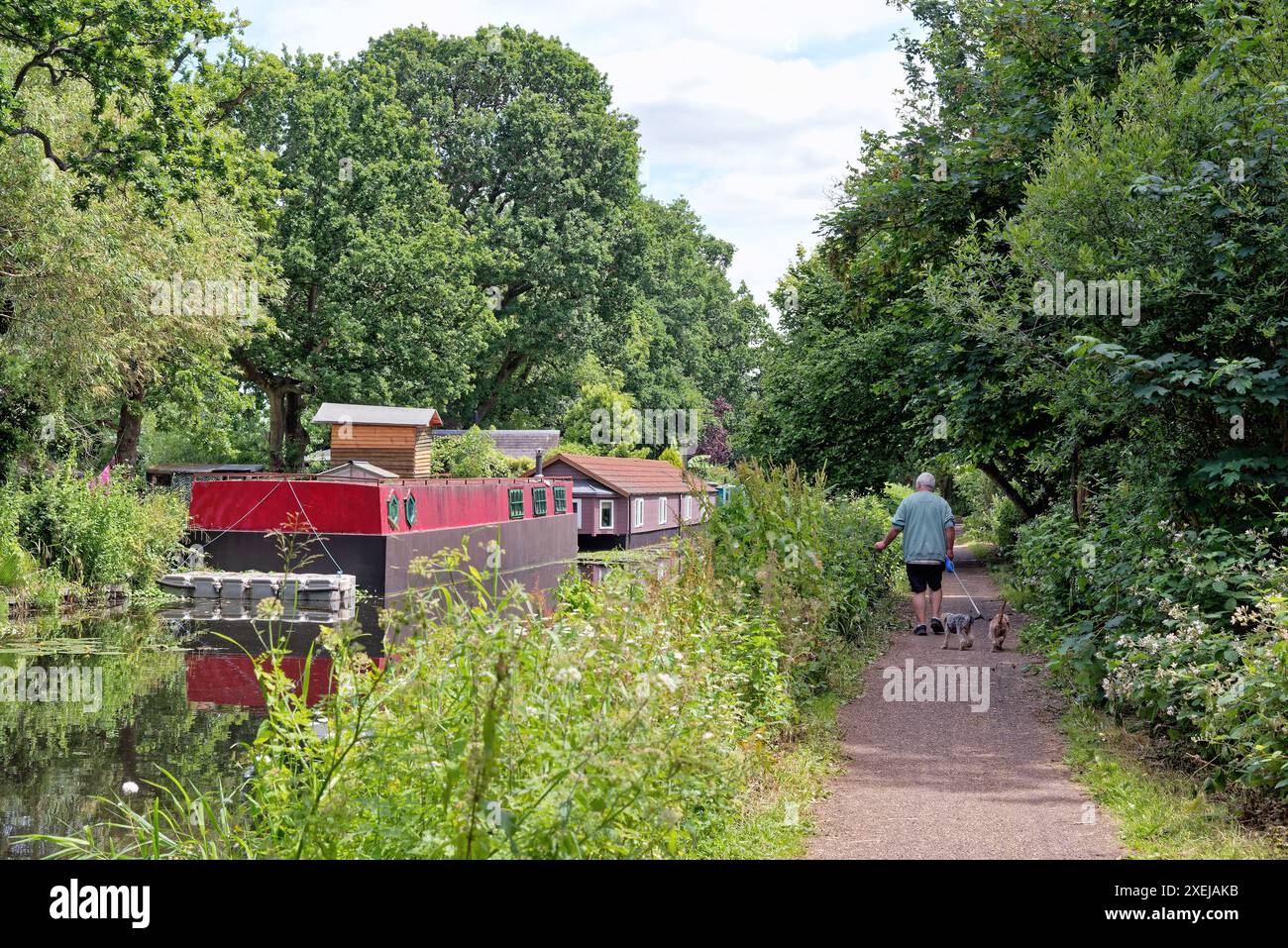 Moored houseboats on the Basingstoke canal and surrounding countryside ...