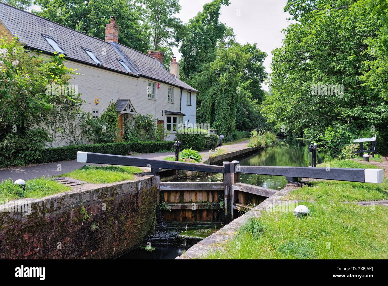 The Basingstoke canal and the surrounding countryside near West Byfleet ...