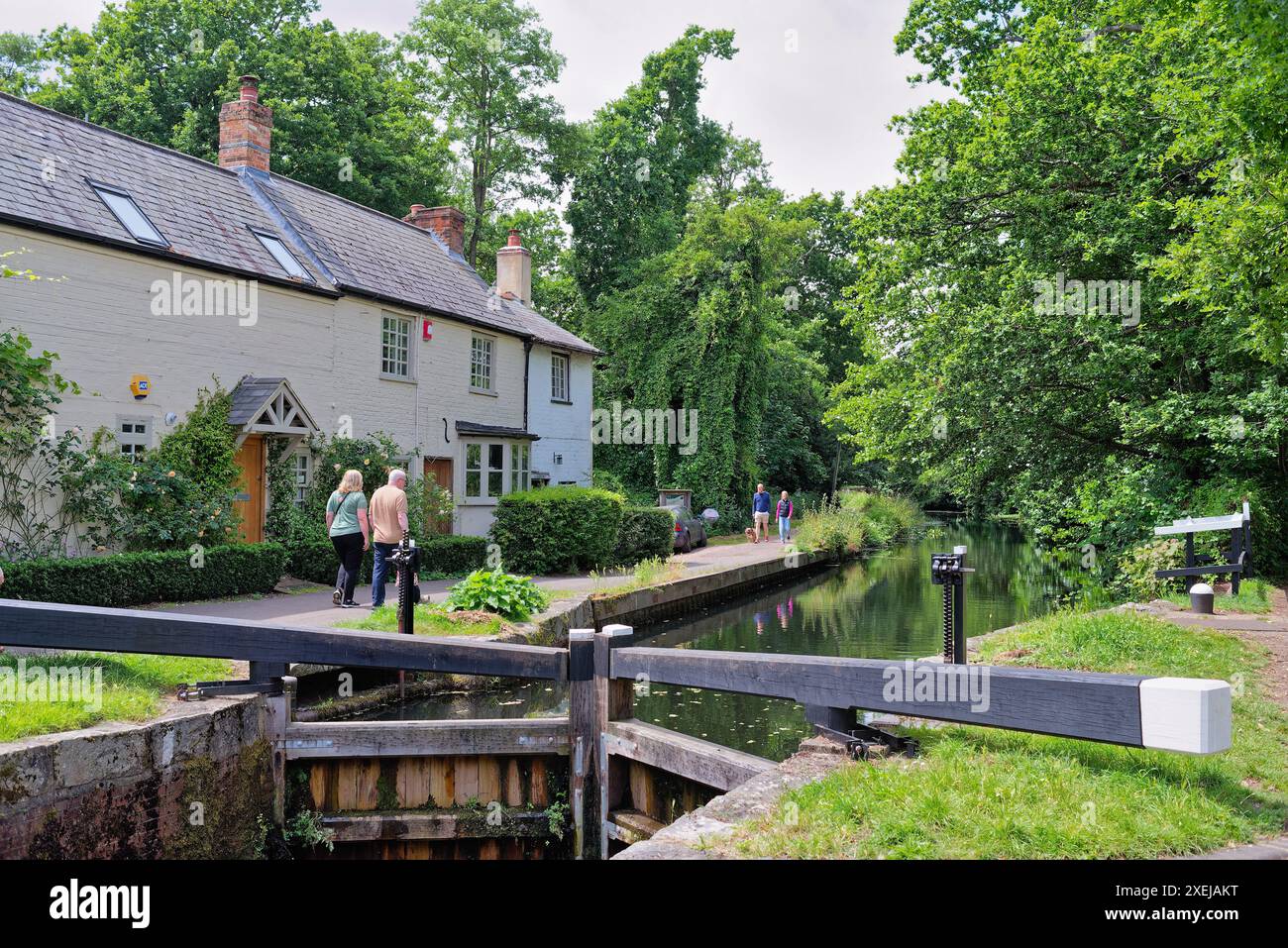 The Basingstoke canal and the surrounding countryside near West Byfleet ...