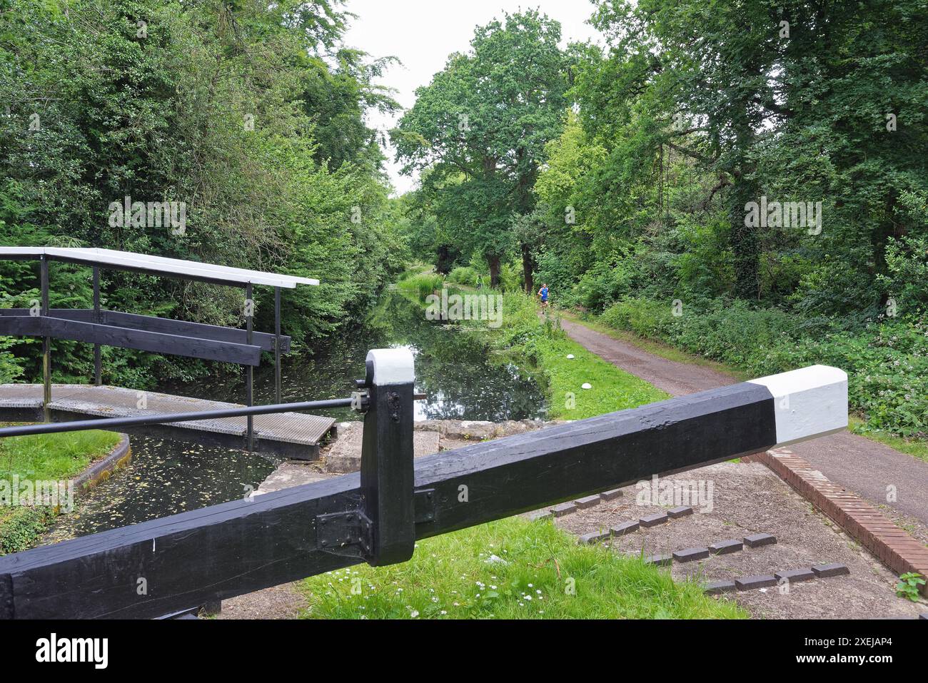 The Basingstoke canal and the surrounding countryside near West Byfleet ...