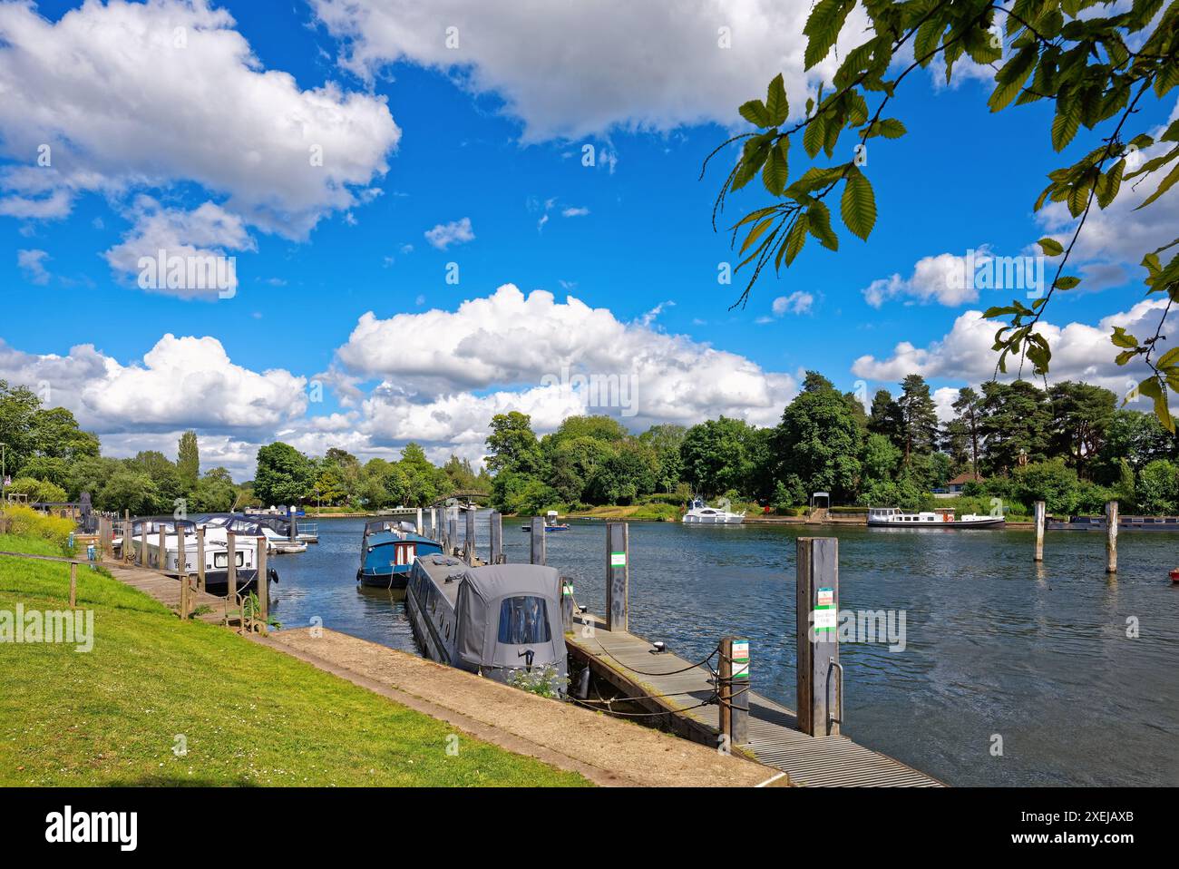 The riverside and River Thames at Shepperton on a sunny summers day ...