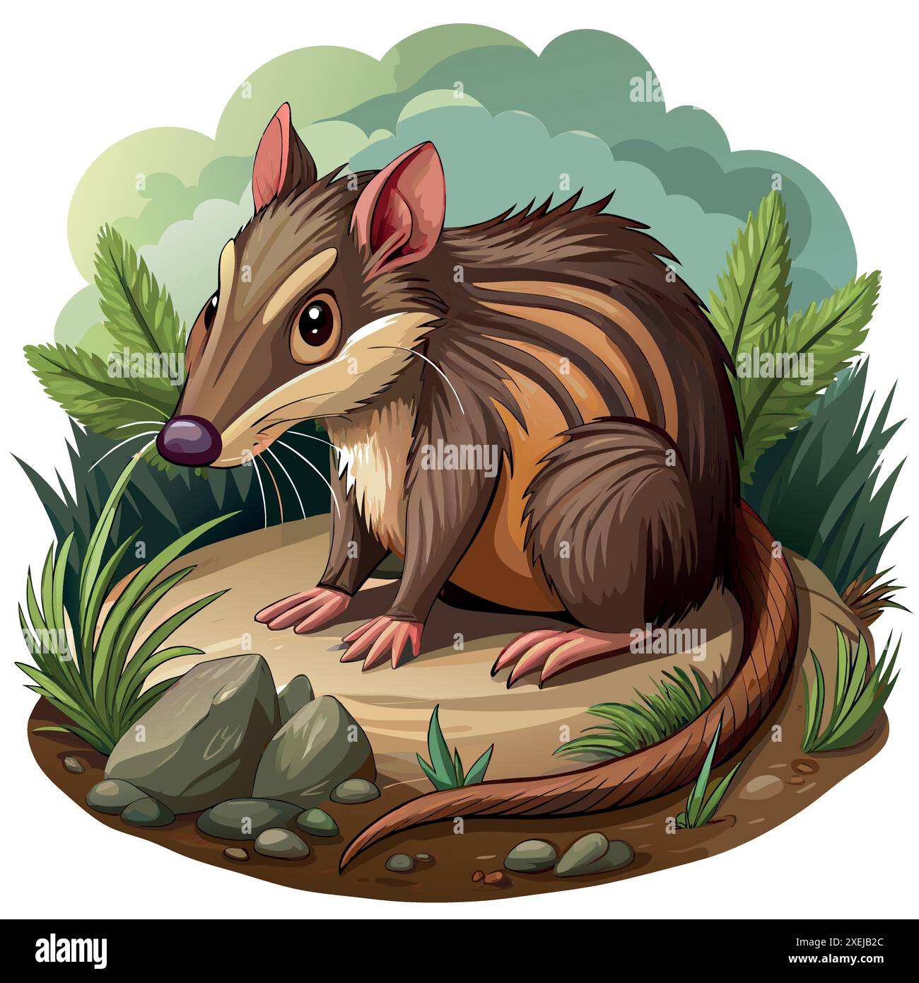 Cuban solenodon rodent hi-res stock photography and images - Alamy