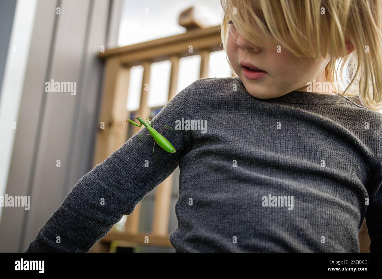 Child observing wildlife hi-res stock photography and images - Alamy