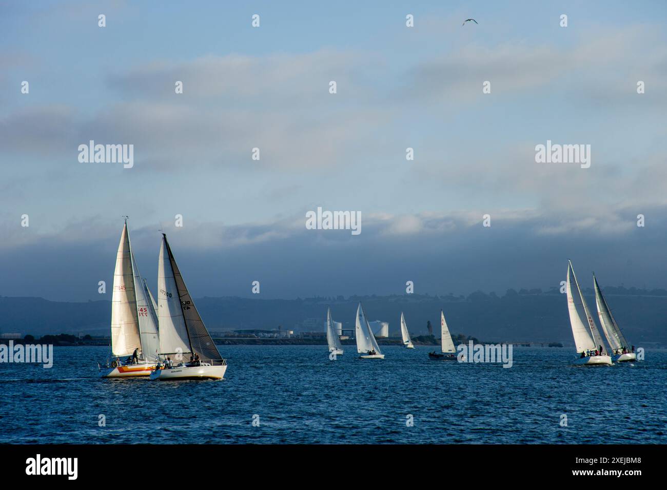 Sail boat regatta hi-res stock photography and images - Alamy