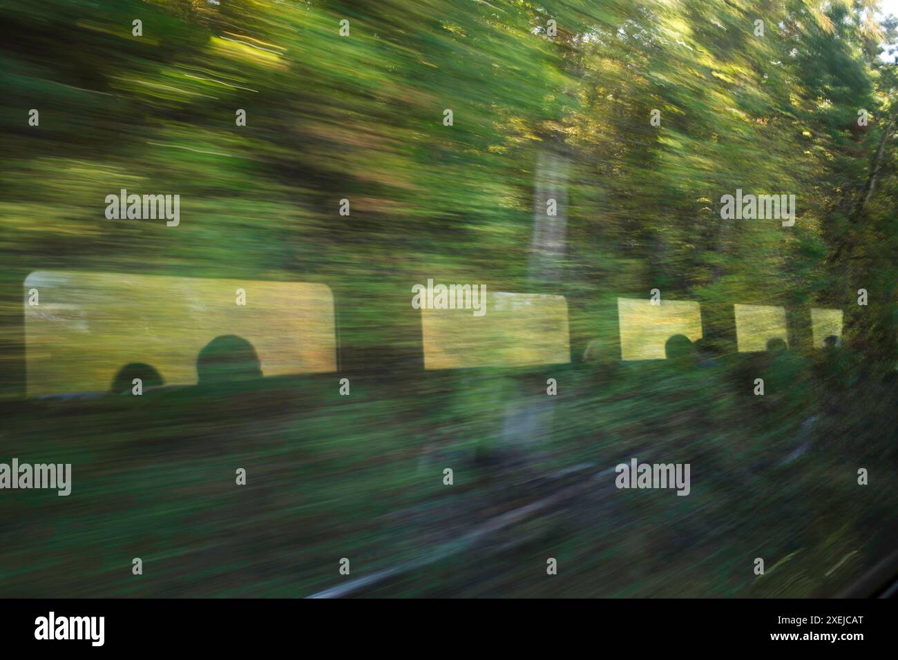 Trees blurred in motion viewed inside moving train Stock Photo - Alamy