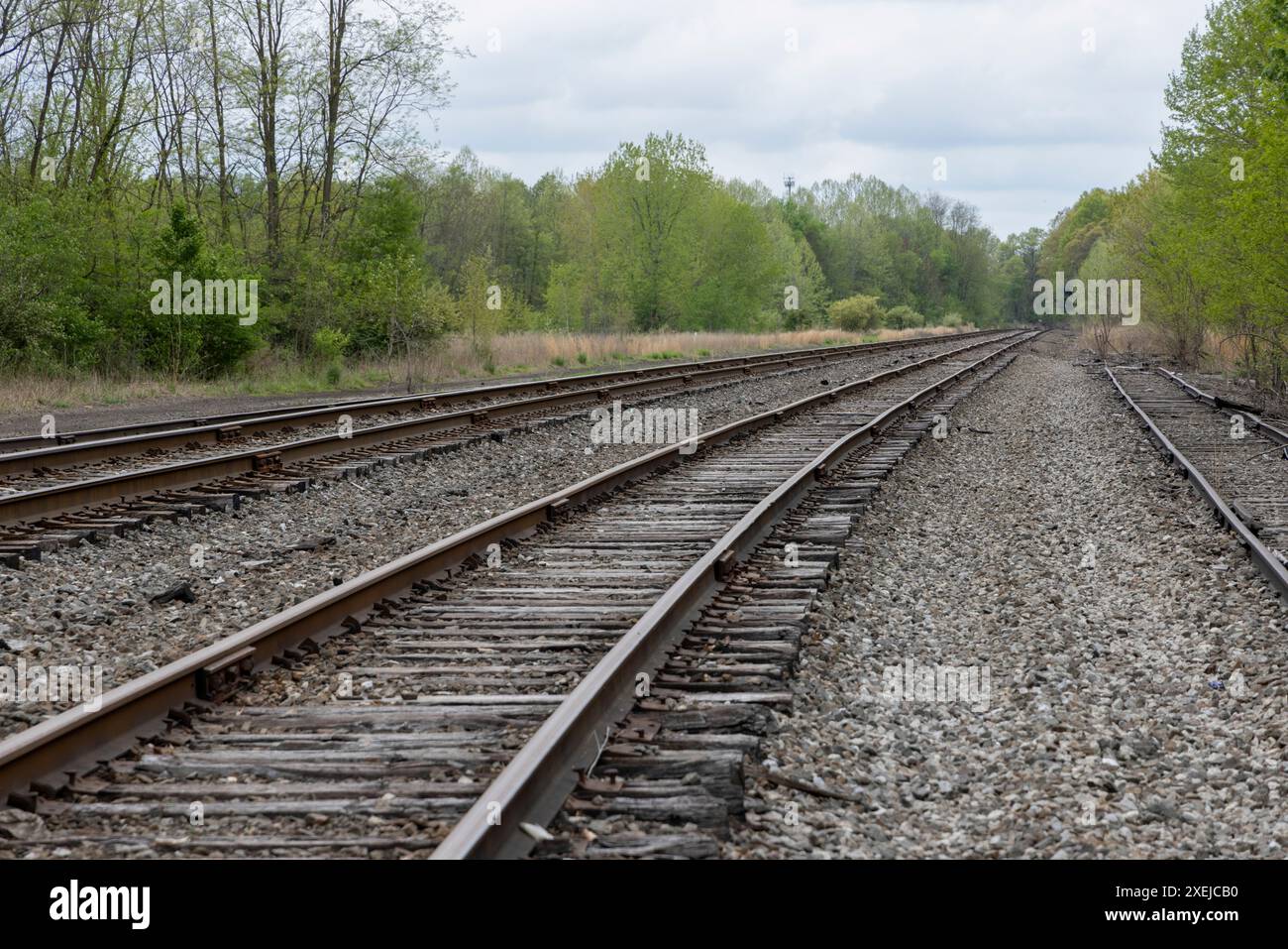 Multiple rows of bolted railroad tracks in landscape Stock Photo - Alamy