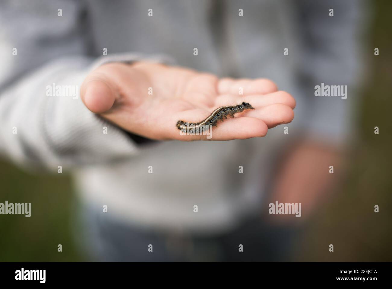 Child holding a caterpillar in the palm of their hand Stock Photo - Alamy