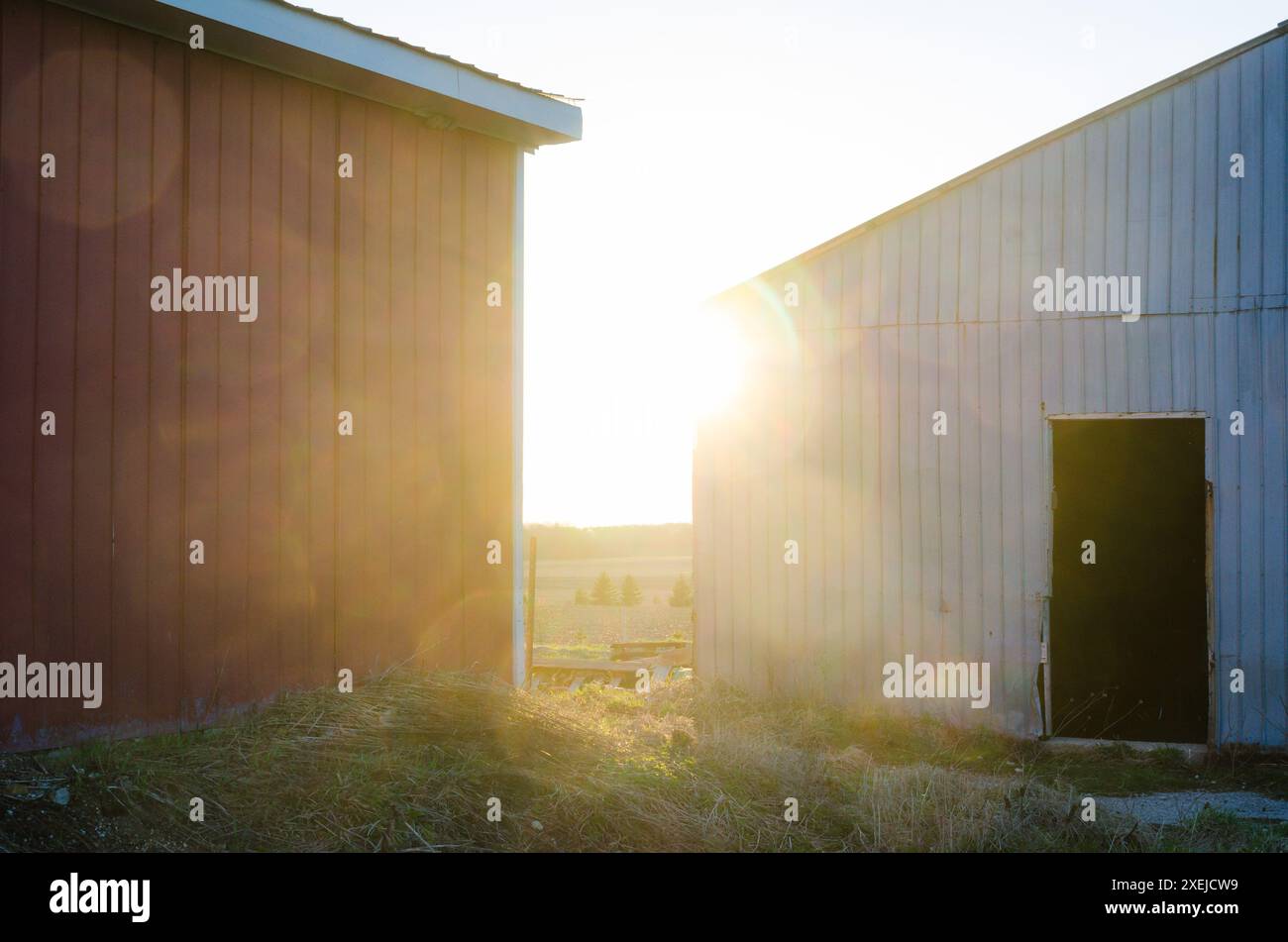Sunlight shining between two barns, a field visible behind Stock Photo ...