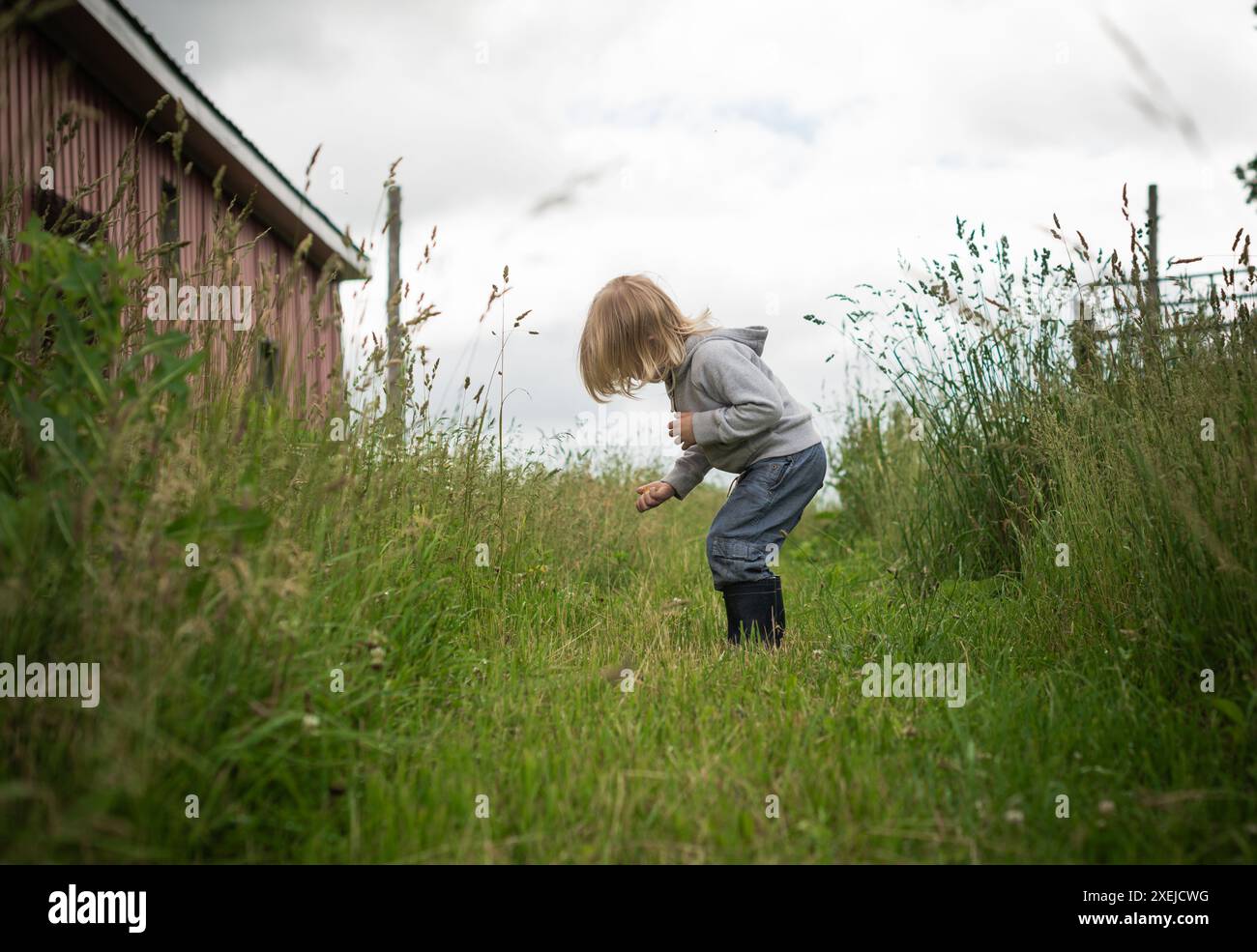 Child exploring grassy field hi-res stock photography and images - Alamy