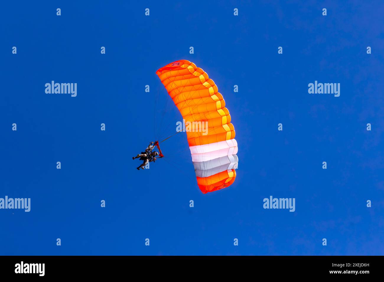 Tandem skydivers with orange parachute against clear blue sky Stock ...