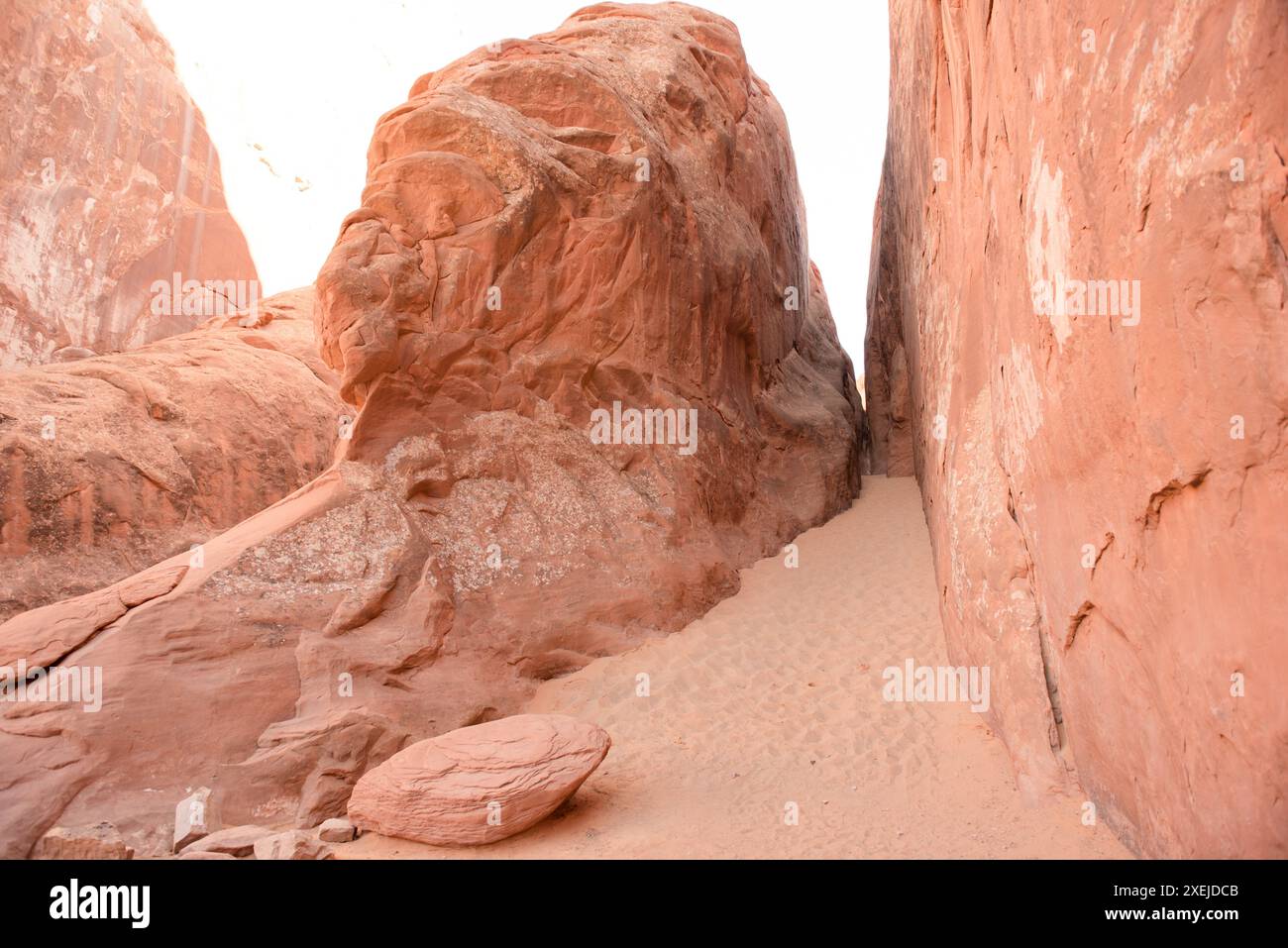 Arches National Park clay pathway with walls of each side Stock Photo ...