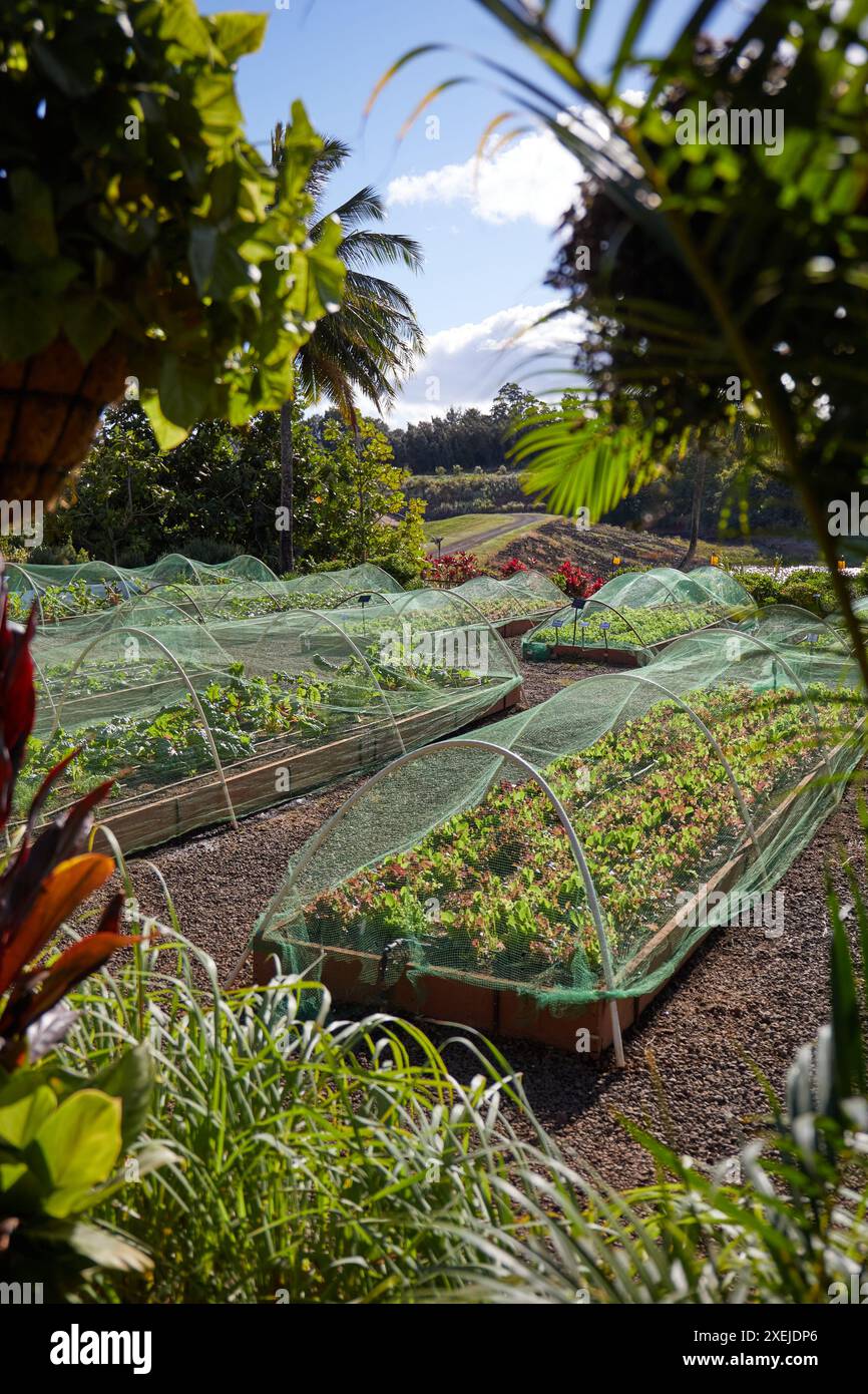 Farm resort hi-res stock photography and images - Alamy