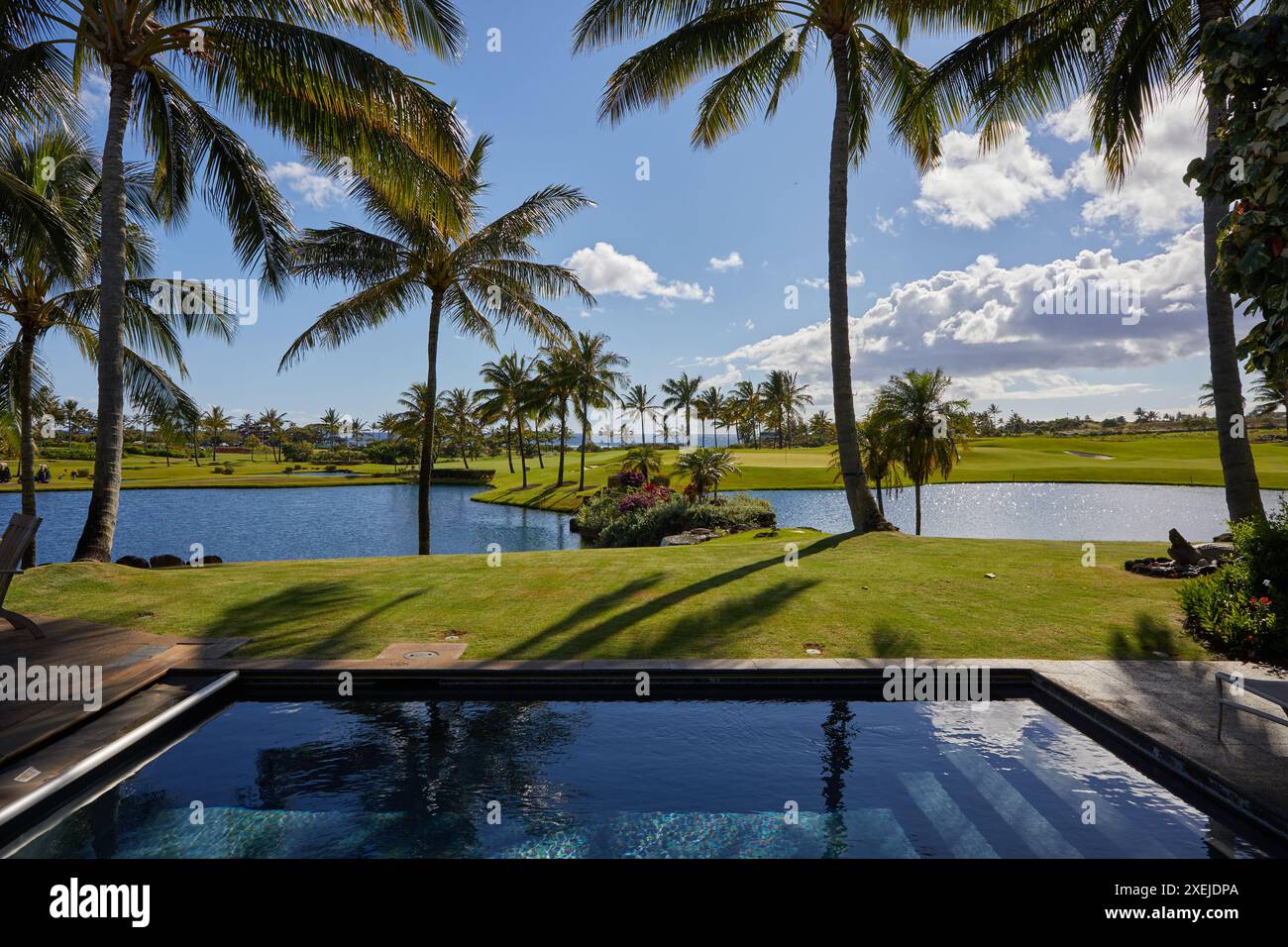 Pool Overlooking Coastal Golf Course at Hawaii Resort Stock Photo - Alamy