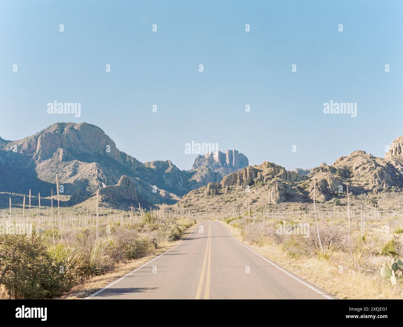 A road in the center of the frame trailing off to the Chisos Mou Stock ...