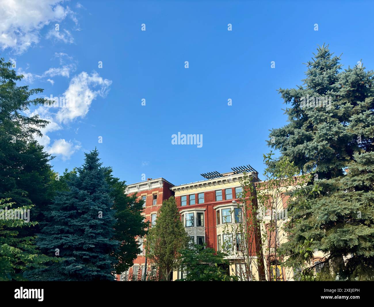 Historic buildings and trees in Over-the-Rhine, Cincinnati Stock Photo ...