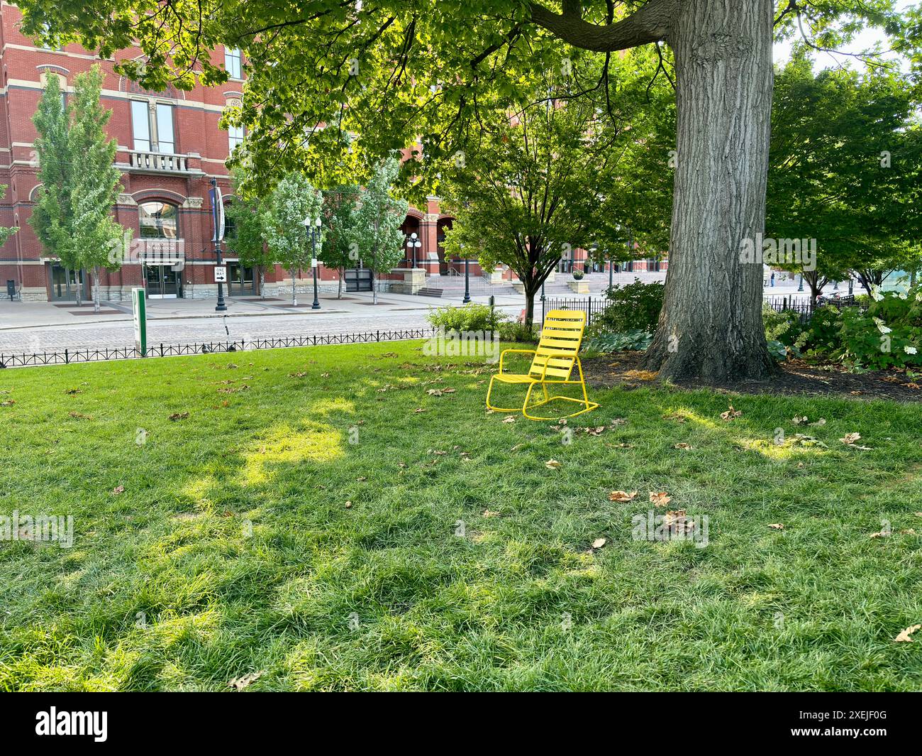 Chair under tree hi-res stock photography and images - Alamy