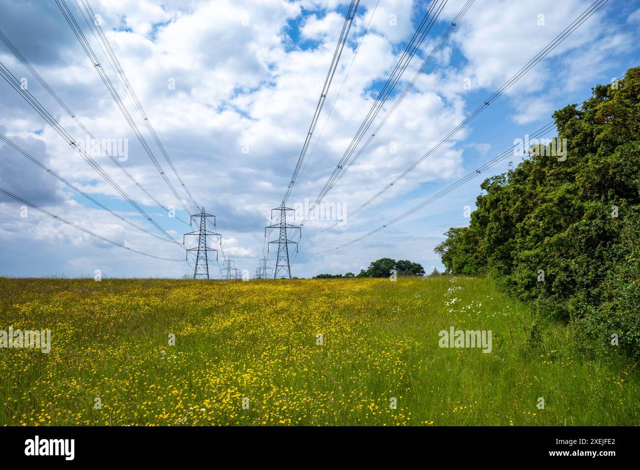 High voltage electricity pylons Grundisburgh Suffolk UK Stock Photo - Alamy
