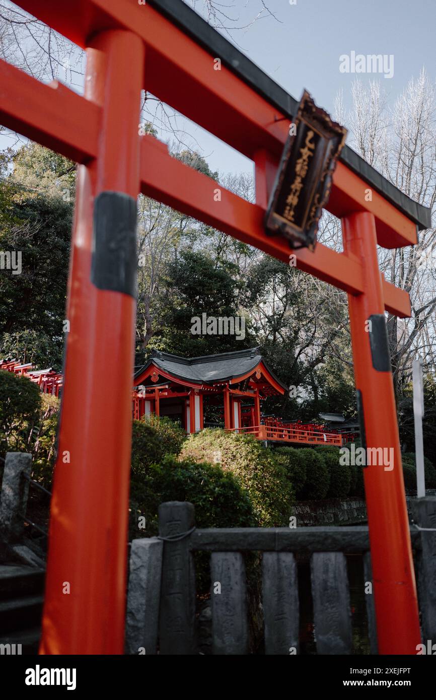 Vibrant Red Torii Gate at Tokyo Shrine Stock Photo - Alamy