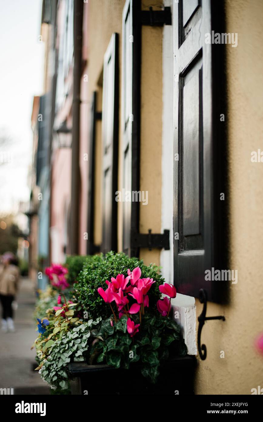 Charleston south carolina rainbow row hi-res stock photography and ...