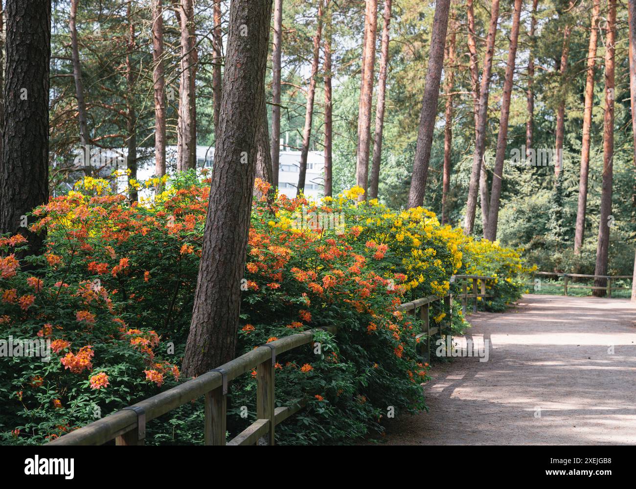 Finland flower garden hi-res stock photography and images - Alamy