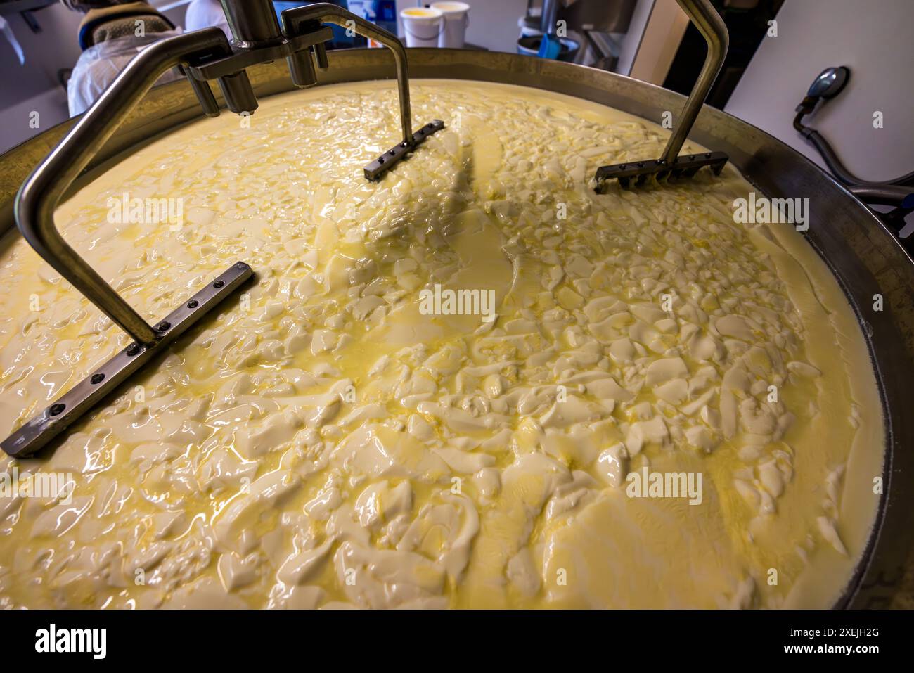 By adding rennet, the cheese begins to thicken and curd is formed. The ...