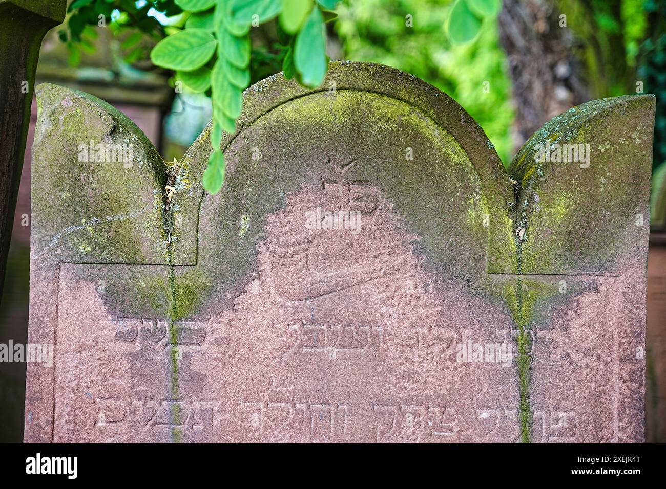 Gravestone symbol at a Jewish cemetery Stock Photo - Alamy