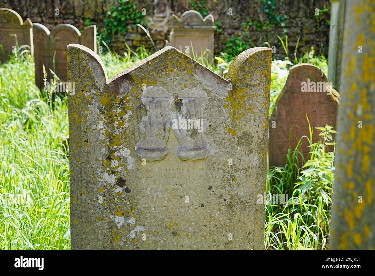 Gravestone symbol of blessing hands at Jewish cemetery Stock Photo - Alamy