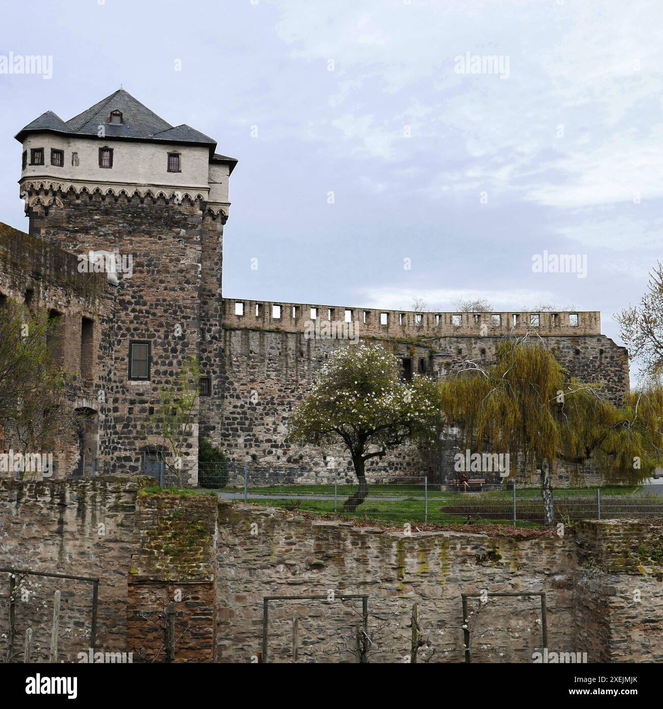 The KurkÃ¶lnische castle in Andernach Stock Photo - Alamy