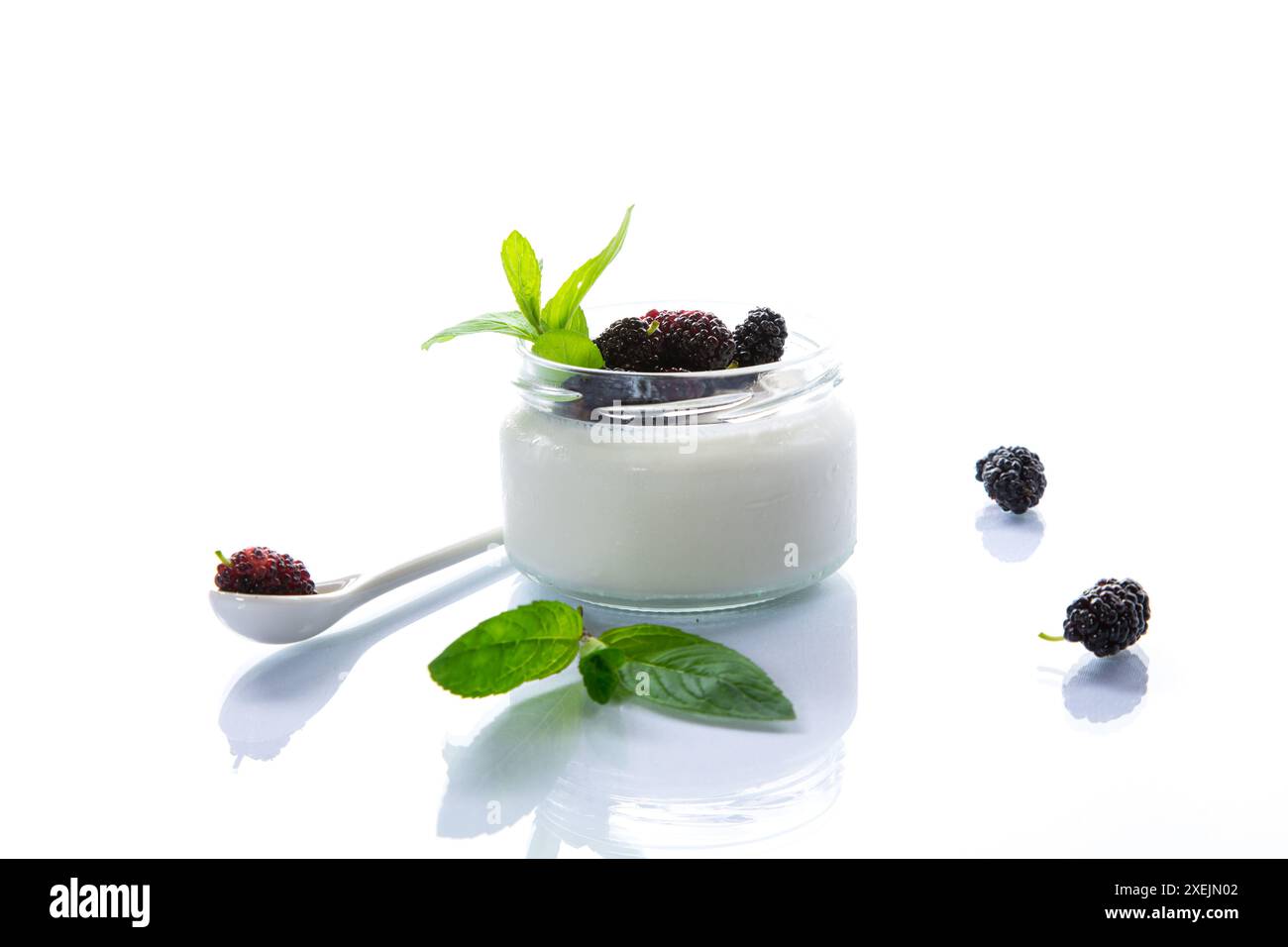 homemade sweet yogurt in a jar with black mulberries isolated on white ...