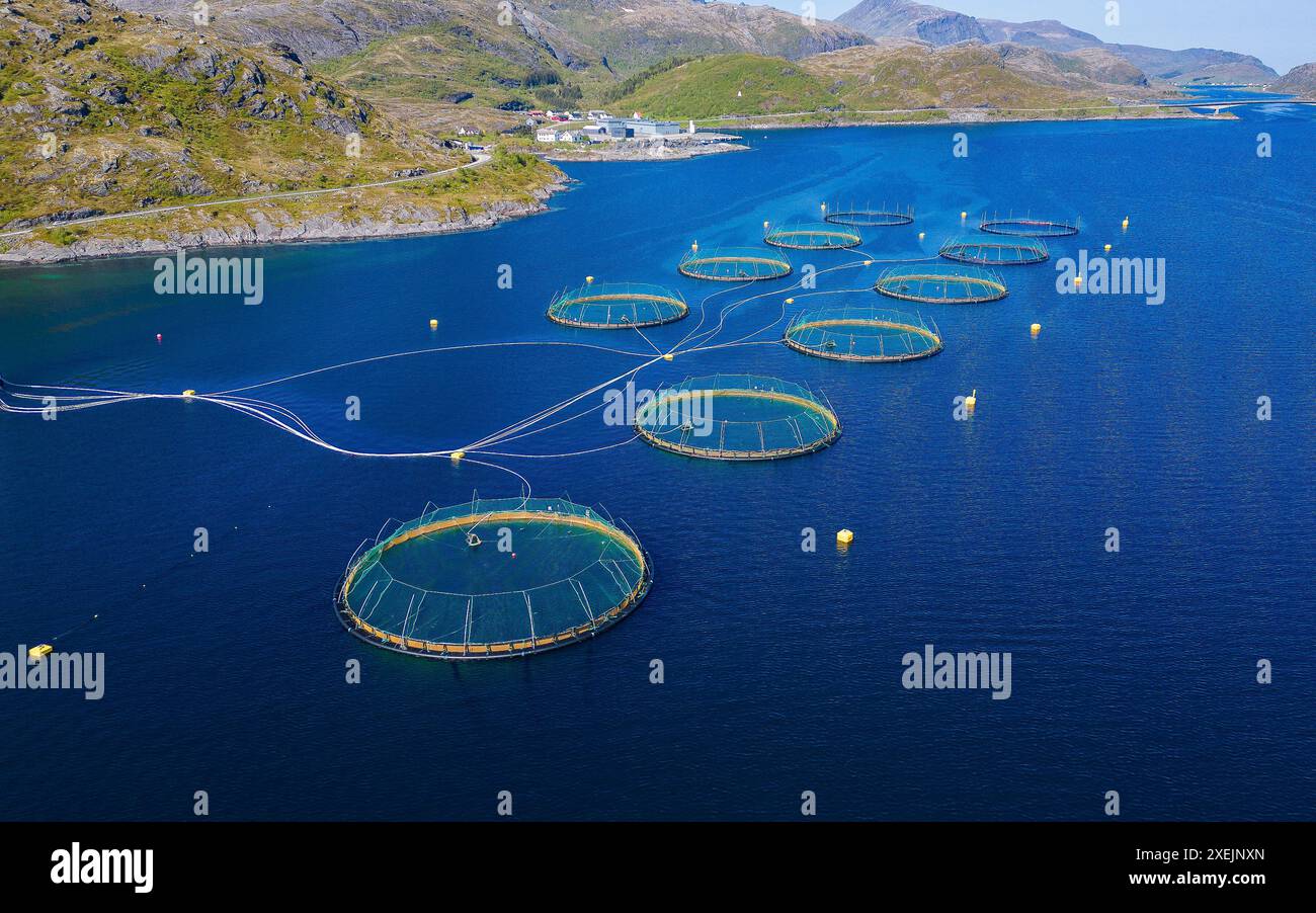 Norwegian fish farming hi-res stock photography and images - Alamy