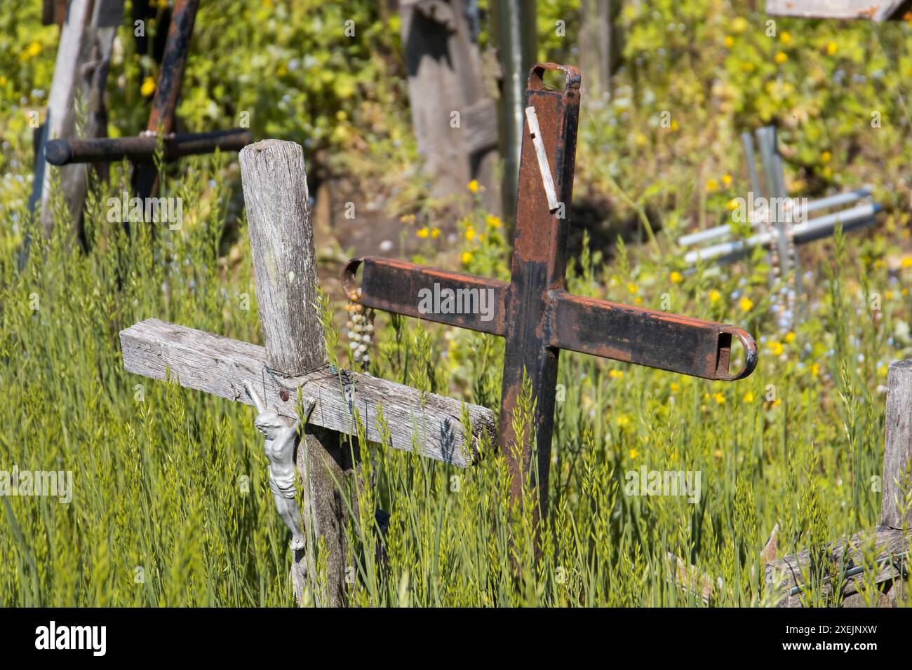 Forgotten cemetery hi-res stock photography and images - Alamy