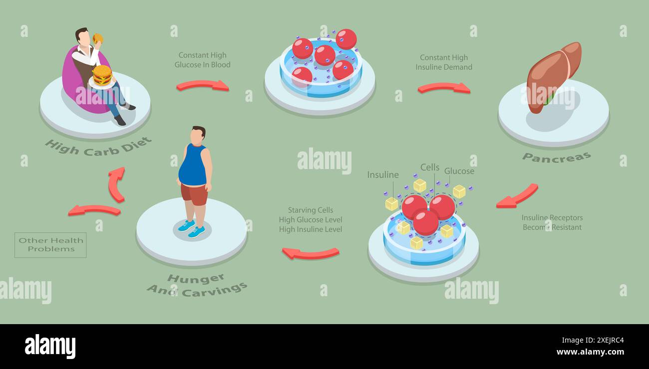 3D Isometric Flat Conceptual Illustration of Insulin Resistance ...