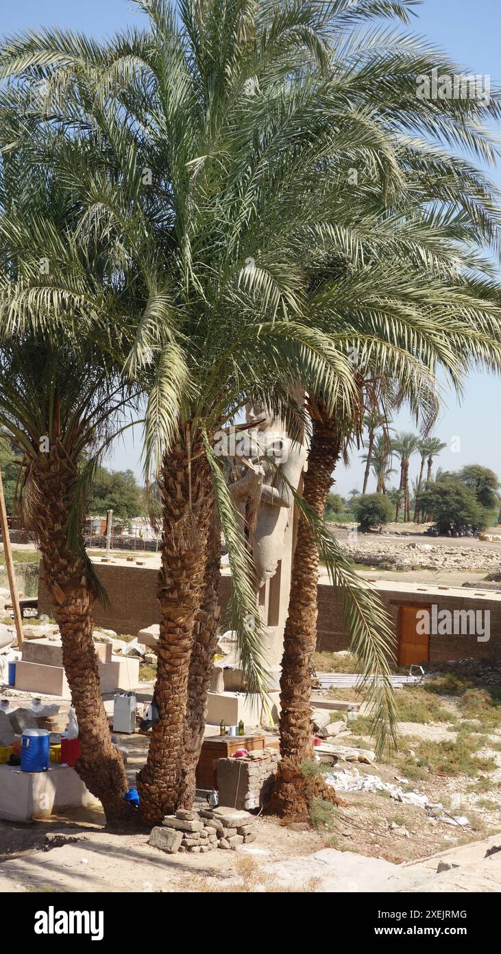 Conservation Project of the Collossi of Memnon and Amenhotep III Temple ...