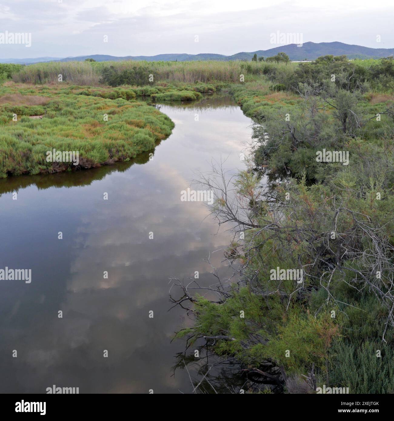 Old salt hi-res stock photography and images - Alamy