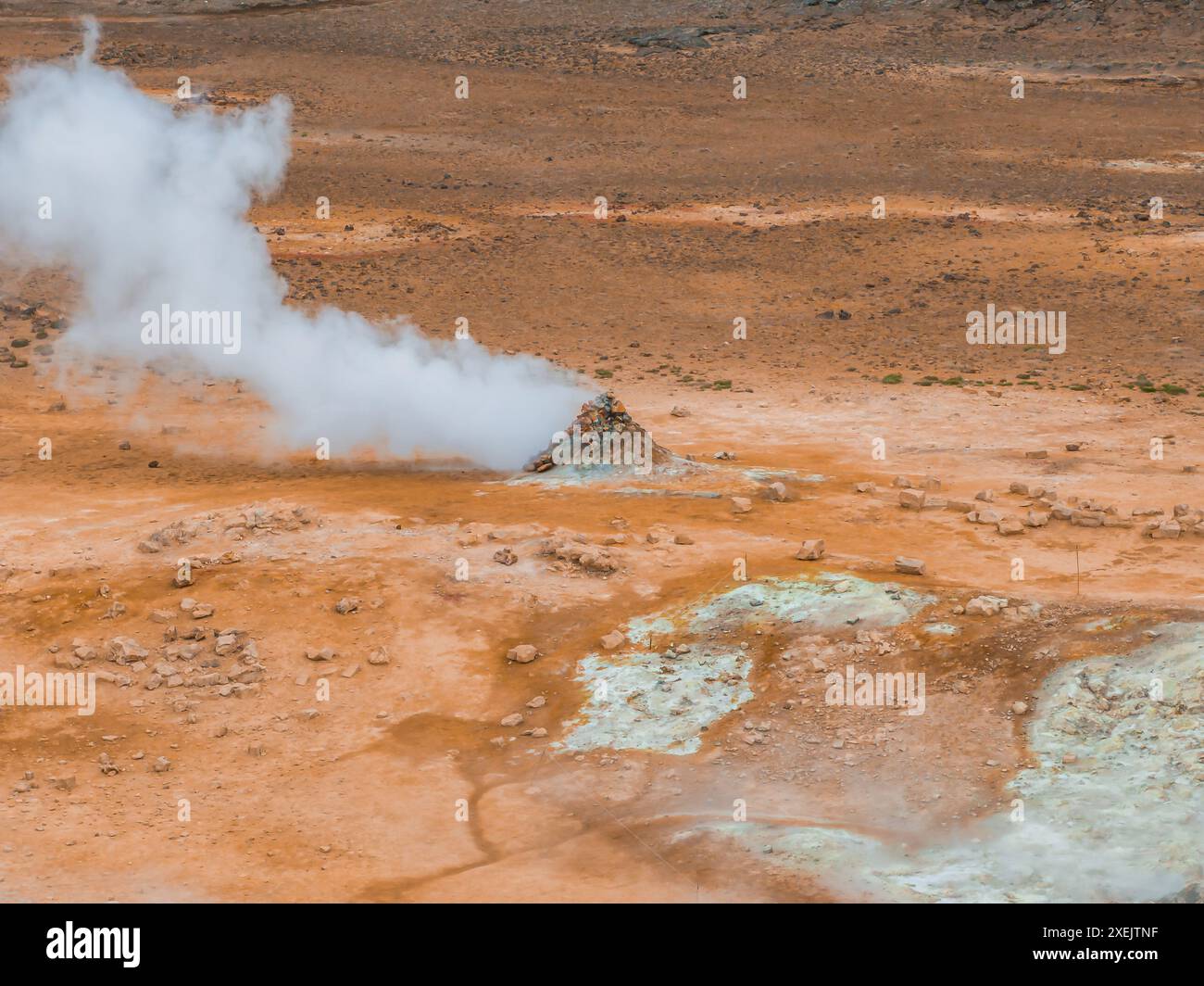 Geothermal area in Haukadular valley, Iceland, with steaming hot ...